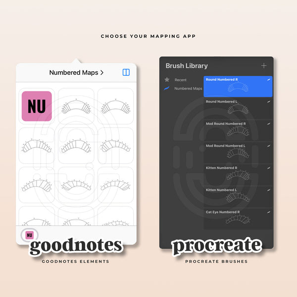 Numbered Maps - Digital Lash Maps – Maven Artistry